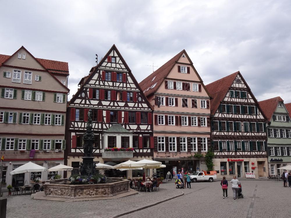 Programs > Global Opportunities & IE3 Global