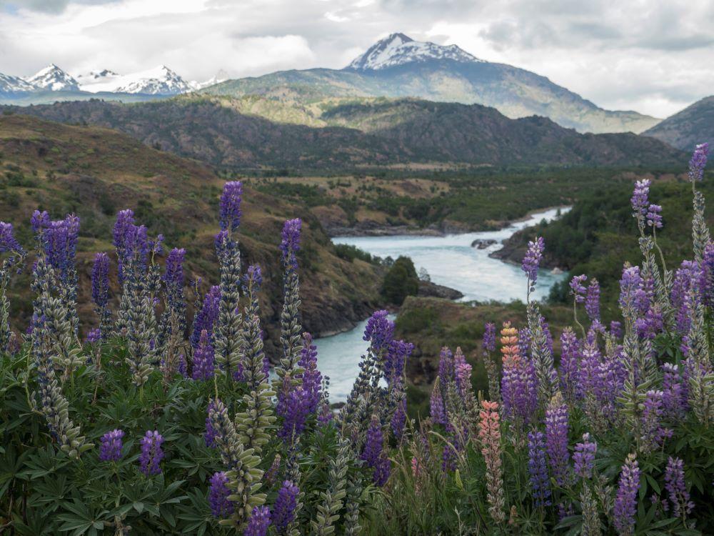 Programs > Global Opportunities & IE3 Global